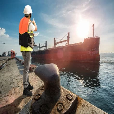 Export Import Code Number Services In New Delhi ID