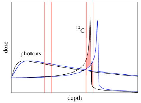 13 For Photon Treatment Range Errors Have A Small Impact In Dose