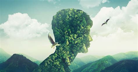 Discover 10 Types Of Logical And Argumentative Fallacies Domestika