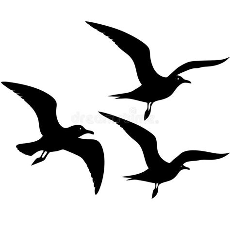 Silhouette Illustration Of Three Elegant Seagulls Soaring Through The