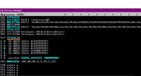 Github 0x3xploitbufferoverflowguide Exploiting Brainpanexe And Gaining Reverse Shell Access
