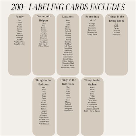 100 Labeling Cards With Charts Autism Visual Aid Aba Therapy 2024