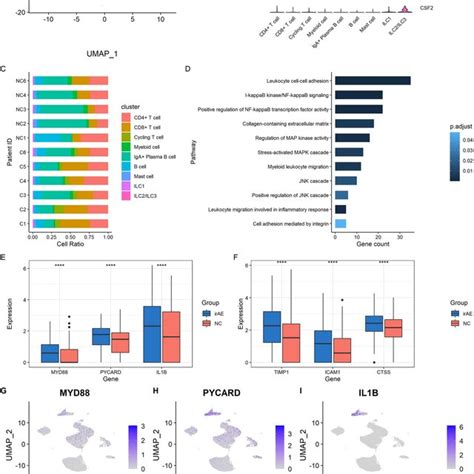 Results Of Single Cell Rna Sequencing Analysis A Annotation Of Immune