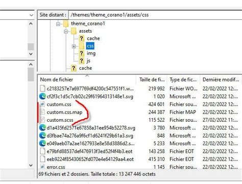Modification Css Non Prise En Compte Discussion Générale Prestashop