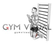 Nordic Hamstring Curl Male