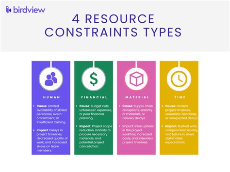 Managing Resource Constraints In Project Management Birdview