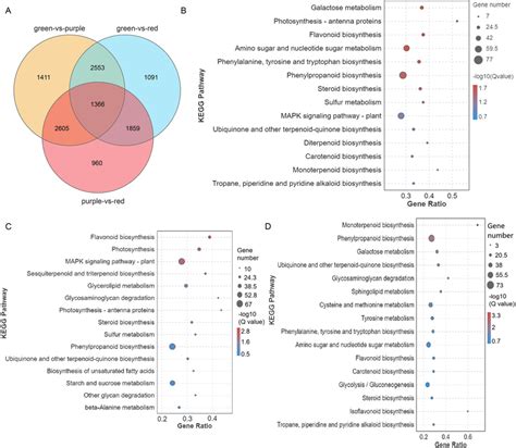 Characterization Of Transcriptome Profiling A Venn Diagram Of