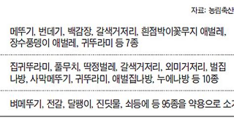곤충은 미래 대체식량 2020년 2000억곤충식품산업 시장 곤충은 미래 대체식량 2020년 2000억곤충식품산업 시장