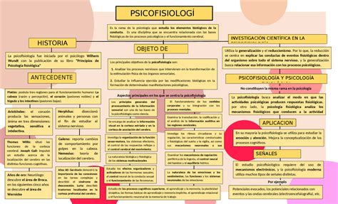 QuÉ Es La PsicofisiologÍa Esquemas Y Mapas Conceptuales De