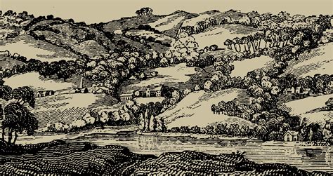 Soil Triangle Magic Boost Your Gardens Growth