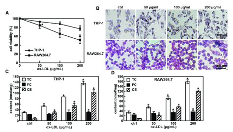 Ox Ldl Induced The Foaming Cell Forming Of Thp 1 And Raw2647