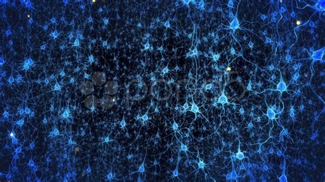 Neurons Wallpapers Top Free Neurons Backgrounds Wallpaperaccess