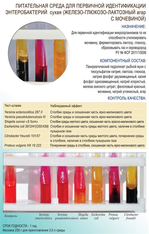 Продукция