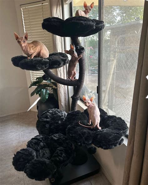 Flower Cat Tree Cat Furniture Ideas Cat Tree Ideas Unique Cat Tree