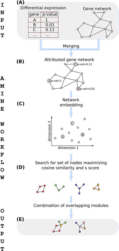 workflow of the amine method a input data are composed of a table