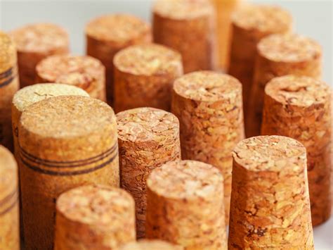 Cork In Interior Design Combining Sustainability With Style Yanko Design