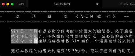 image 20230315105320258