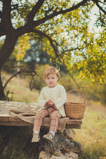 사랑 스러운 예쁜 아기 여자 금발 빨간 머리 입고 아이 보 리 화이트 컬러 스웨터 바구니 Ped 침대 신선한 노란색 빨간색 사과 행복 미소 가득 나무 무대에서 도시 교외