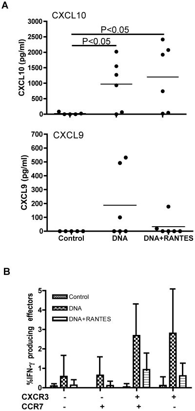Pbmc Isolated At 8 Months After Last Immunization Were Defrosted And Download Scientific