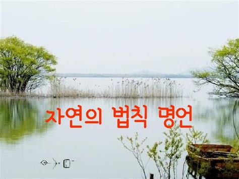 자연의 법칙 명언 Band