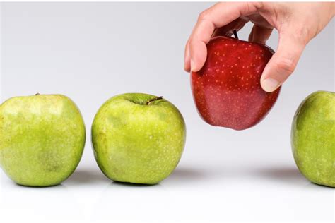 A Standard Office Copier Vs A Multifunction Printer Which One Is Right For You