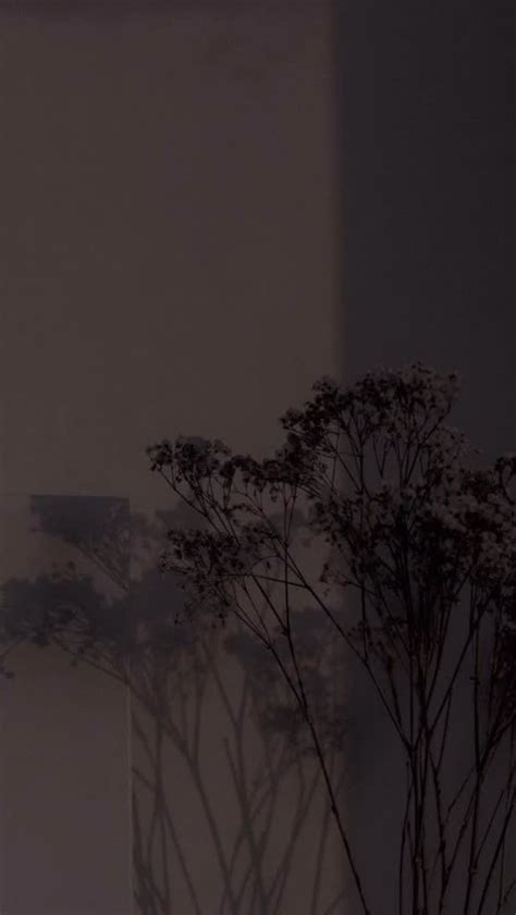 공룡 시시스타그램졸업감성글귀책갈피 Instagram