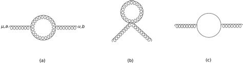 a and b gluon loop c ghost loop download scientific diagram
