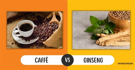 Differenza Macchina Caffè Tra Krups E De Longhi