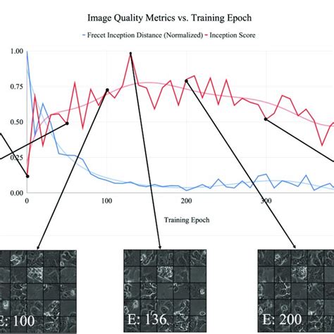 Normalized Generator Inception Score Red And Fid Blue Per Training Download Scientific