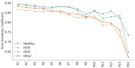 average dsc for all participants for the most common pathologies in the