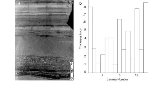 Thinly Laminated Lime Mudstone Within Plm Facies A Note Intervening