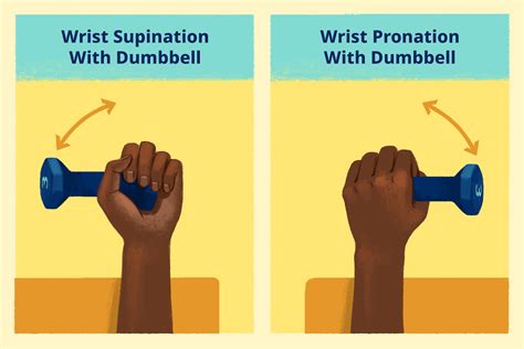Wrist Exercises To Improve Strength 54 Off Tratenores