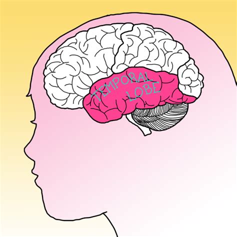 7 Things You Didnt Know About Olfactory Hallucinations