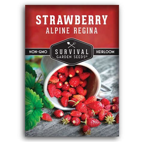 Alpine Regina Strawberry Seeds Survivalgardenseeds