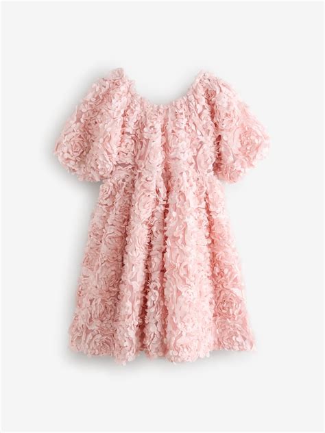 Buy Pink 3d Floral Print Occasion Dress 3 14yrs From Next Ukraine