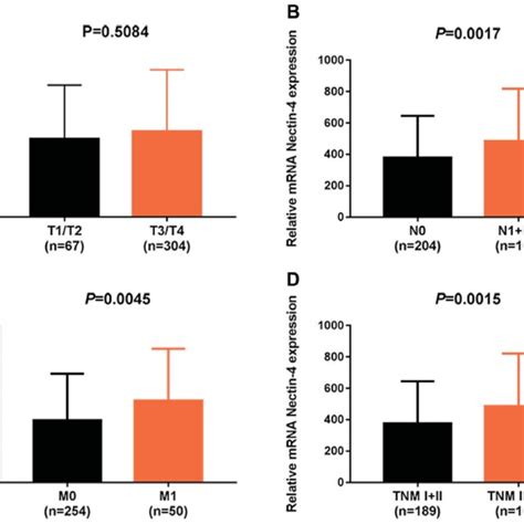 Nectin 4 Mrna Expression Is Associated With Various Clinicopathological Download Scientific