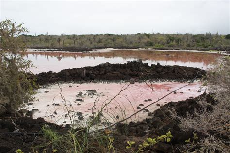 에콰도르3 갈라파고스 산타크루즈섬 두피디아 여행기
