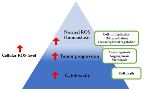 Polymeric Micellar Systems—a Special Emphasis On Smart” Drug Delivery Pmc