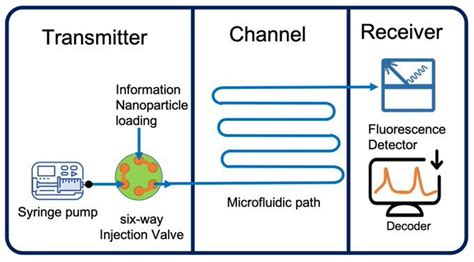 Chemosensors Mdpi On Linkedin Article Recommendation Biodevice Carbon Quantum Dots
