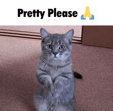 Pretty Please  S Tenor