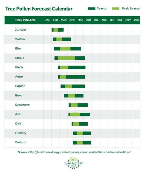The Worst Trees For Allergies Turf Factory