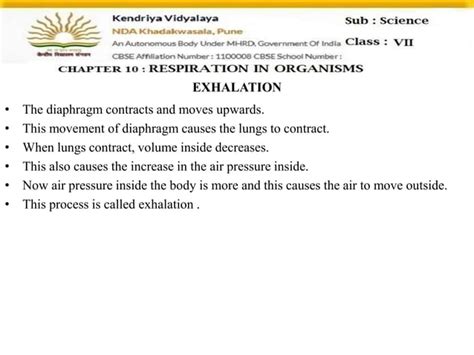 Class 7 Chapter 10 Ppt 2 Ppt