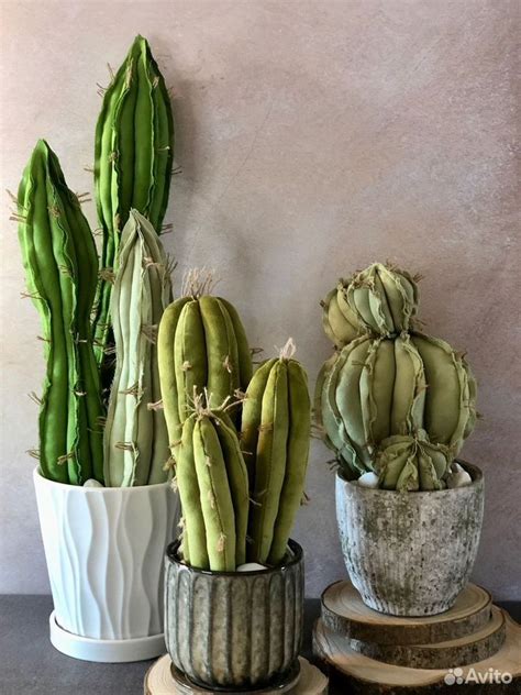 Текстильный кактус купить в Москве по низкой цене с доставкой Товары для дома и дачи Авито