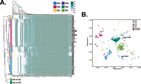 Virulence Profile Analysis For Typable Genomes A Clustermap Of