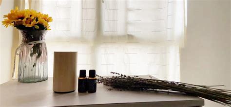 What Essential Oils Are Compatible With Waterless Diffusers