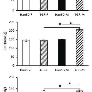 Mean MAP Systolic SBP And Diastolic DBP Blood Pressure In Download Scientific Diagram