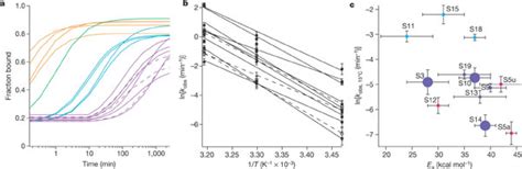 The Temperature Dependence Of Protein Binding Rates A Fits Of Binding Download Scientific