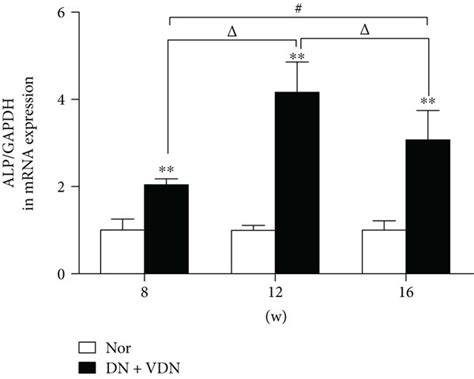 Quantitative Assessment Of Mrna Expressions Of α Sma A Sm22α B Download Scientific