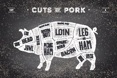 절단 고기류 설정할 수 있습니다 포스터 Butcher 다이어그램 규정 및 안내 분필 그림에 대한 스톡 벡터 아트 및 기타 이미지 분필 그림 정육점 주인 갈비 음식