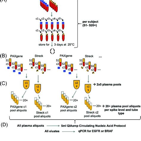 Quality Control Ccfdna Yield And Fragment Distribution A Qubit 1x Download Scientific